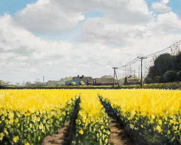 Fenland Paintings - Nick Tearle Fenland Artist I Paintings of the Fens