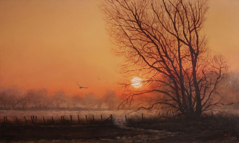 Painting the Fens | Nick Tearle Fenland Artist